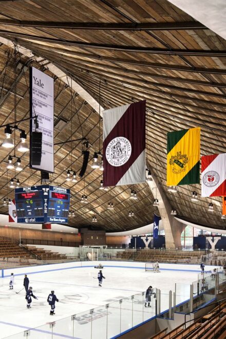 Score Big in New Haven: A Guide to the Area's Best Sporting Events ...